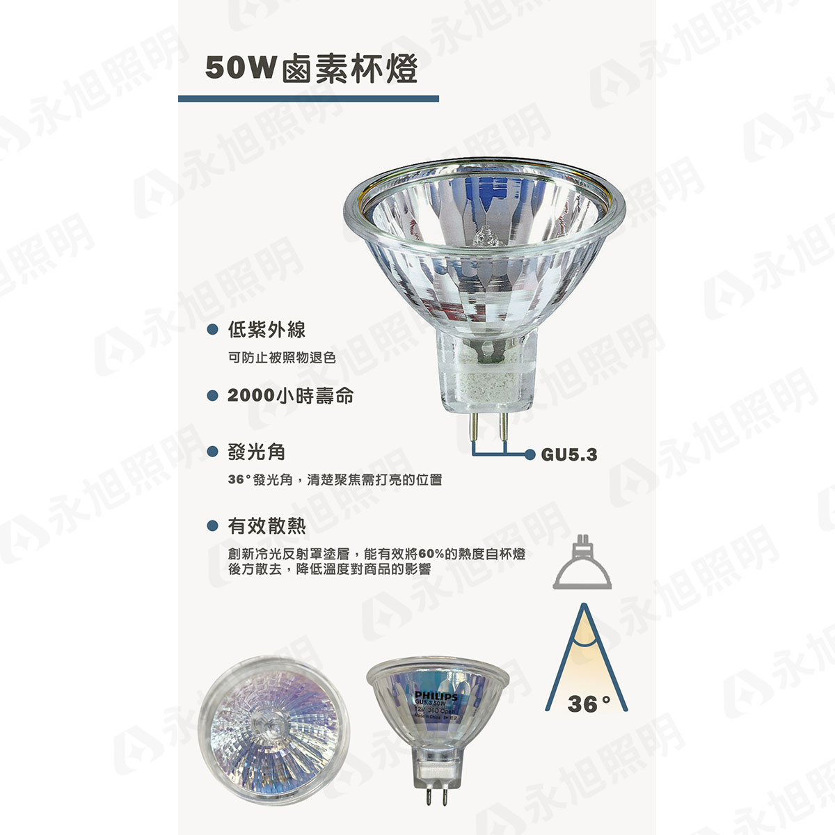 【飛利浦 奇異 NOVILITE 】 MR16 50W 12V 鹵素杯燈 傳統燈泡 驅動器 需另購 | 永光照明直營店 | 樂天市場Rakuten