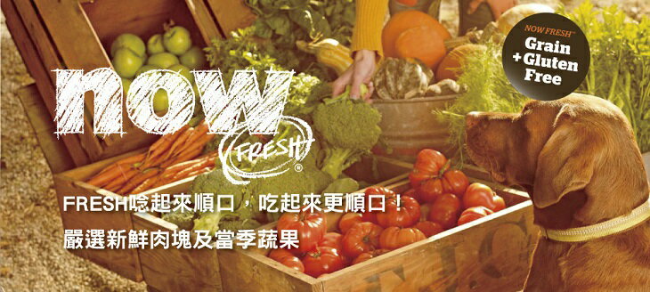 NOW 鮮肉無穀 | 主打品牌 | 貓咪主食 | SofyDOG - Rakuten樂天市場