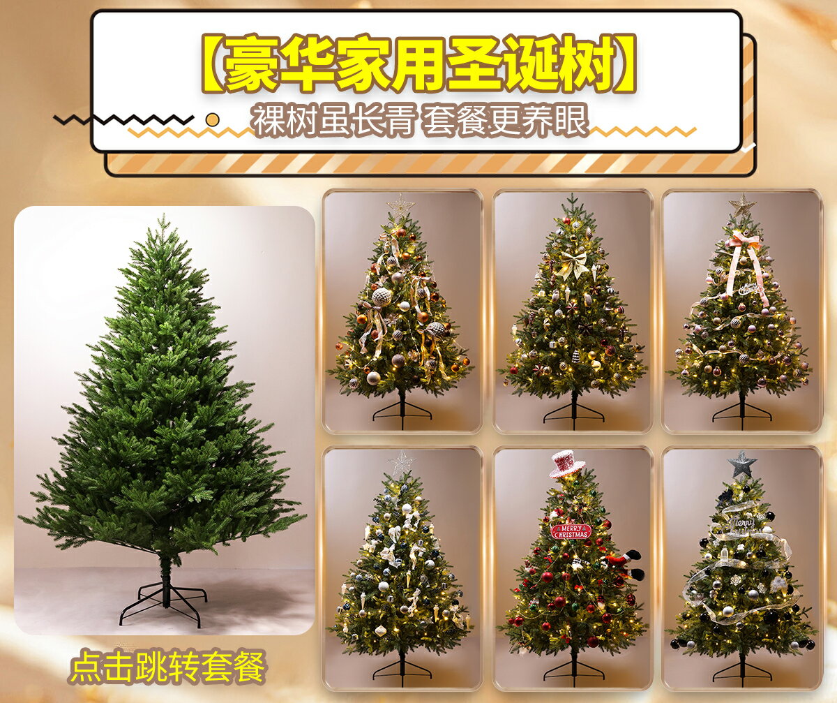 老丈人圣誕樹加密發光家用1.2m1.5m1.8m環保阻燃套餐圣誕節裝飾 森馬先生旗艦店 | 森馬先生旗艦店直營店 | 樂天市場Rakuten