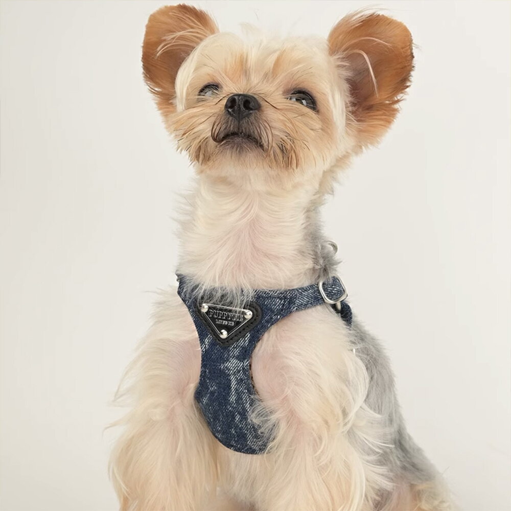 75折售價已折【SofyDOG】puppytie 牛仔三角標 水洗牛仔藍 M 寵物胸背+牽引繩 貓胸背 貓牽繩 狗胸背 狗牽繩 防暴衝可調節 | SofyDOG直營店 | 樂天市場Rakuten