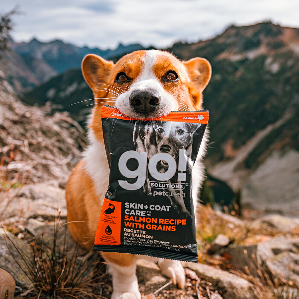【SofyDOG】go! 全方位系列 鮭魚蔬果+燕麥 22磅 全犬配方 狗飼料 犬糧 | SofyDOG直營店 | 樂天市場Rakuten