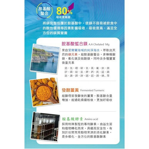 萬大酵素 海洋酵素鎂Seazyme ( 胺基酸螯合鎂 )100粒/盒 | 鏡感樂活市集直營店 | 樂天市場Rakuten