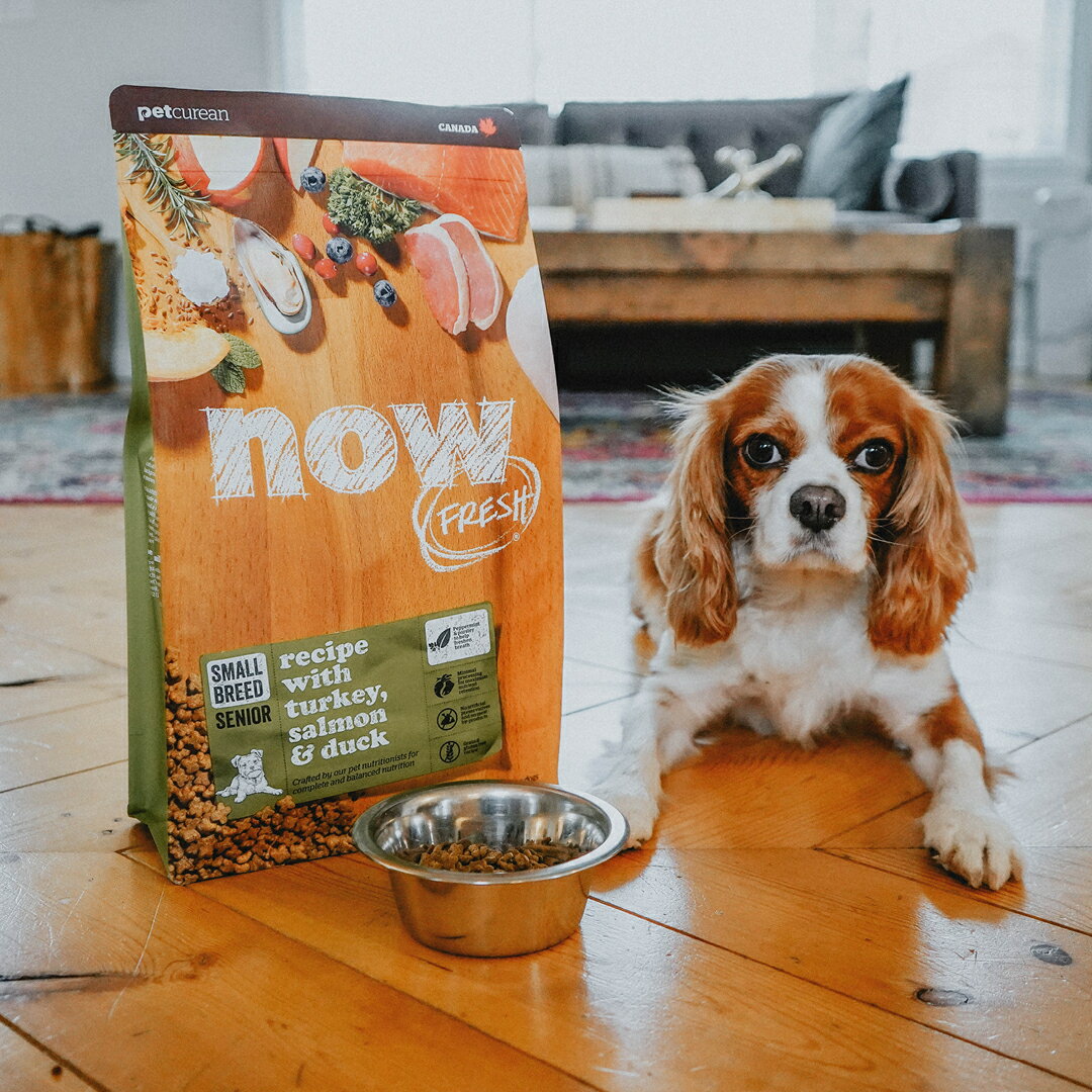 買就送餐包【SofyDOG】now 鮮肉無穀天然糧 小型幼犬配方 3.5磅 狗飼料 小型犬 犬糧 | SofyDOG直營店 | 樂天市場Rakuten