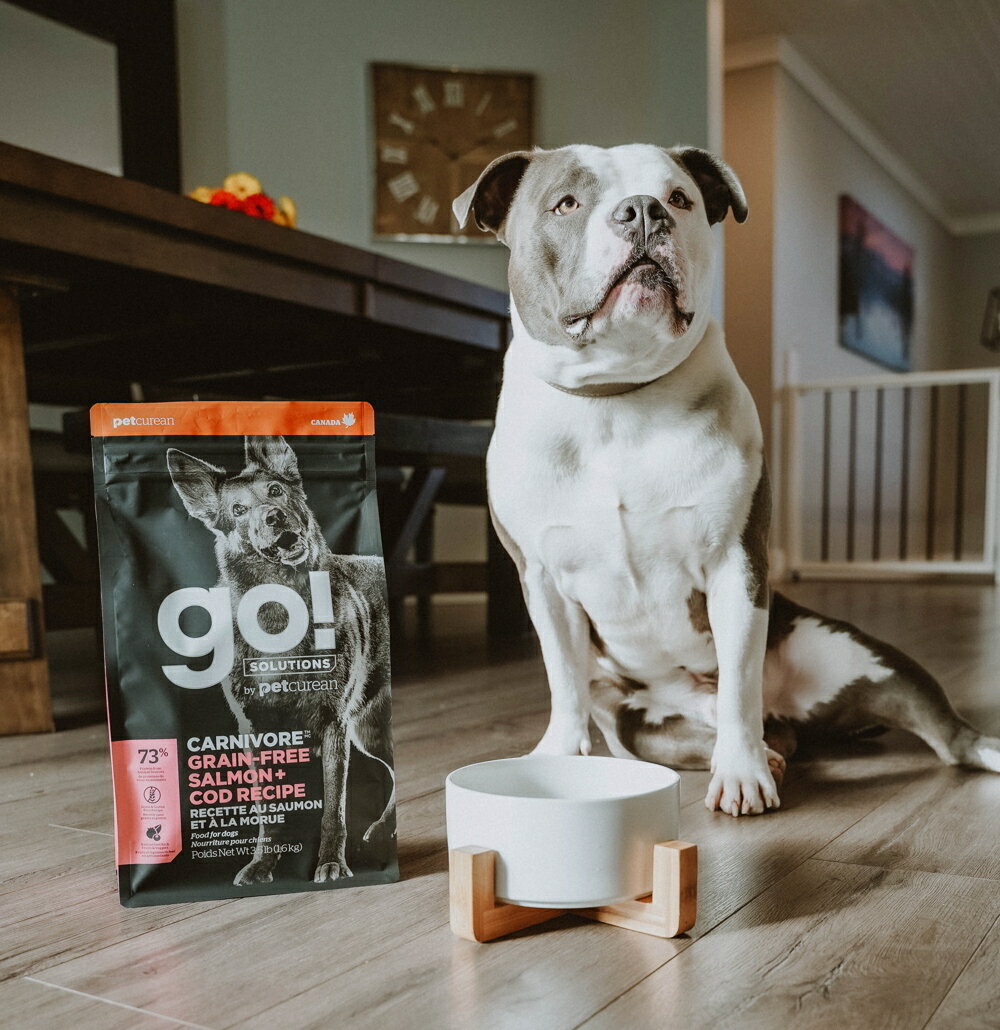 買大送小【SofyDOG】go! 高肉量無穀系列 海洋鮭鱈 全犬配方 12磅 狗飼料 犬糧 | SofyDOG直營店 | 樂天市場Rakuten