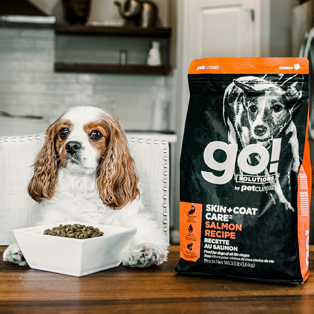 【SofyDOG】go! 全方位系列 鮭魚蔬果+燕麥 12磅(300克19包替代出貨) 全犬配方 狗飼料 犬糧 | SofyDOG直營店 | 樂天市場Rakuten