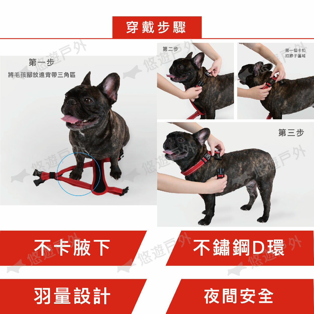 【EZYDOG】狗體工學胸背帶 XXS/XS/S/M/L號 防暴衝背帶 幼犬 貓咪 防掙脫 夜間反光 露營 悠遊戶外 | 悠遊戶外露營生活館直營店 | 樂天市場Rakuten