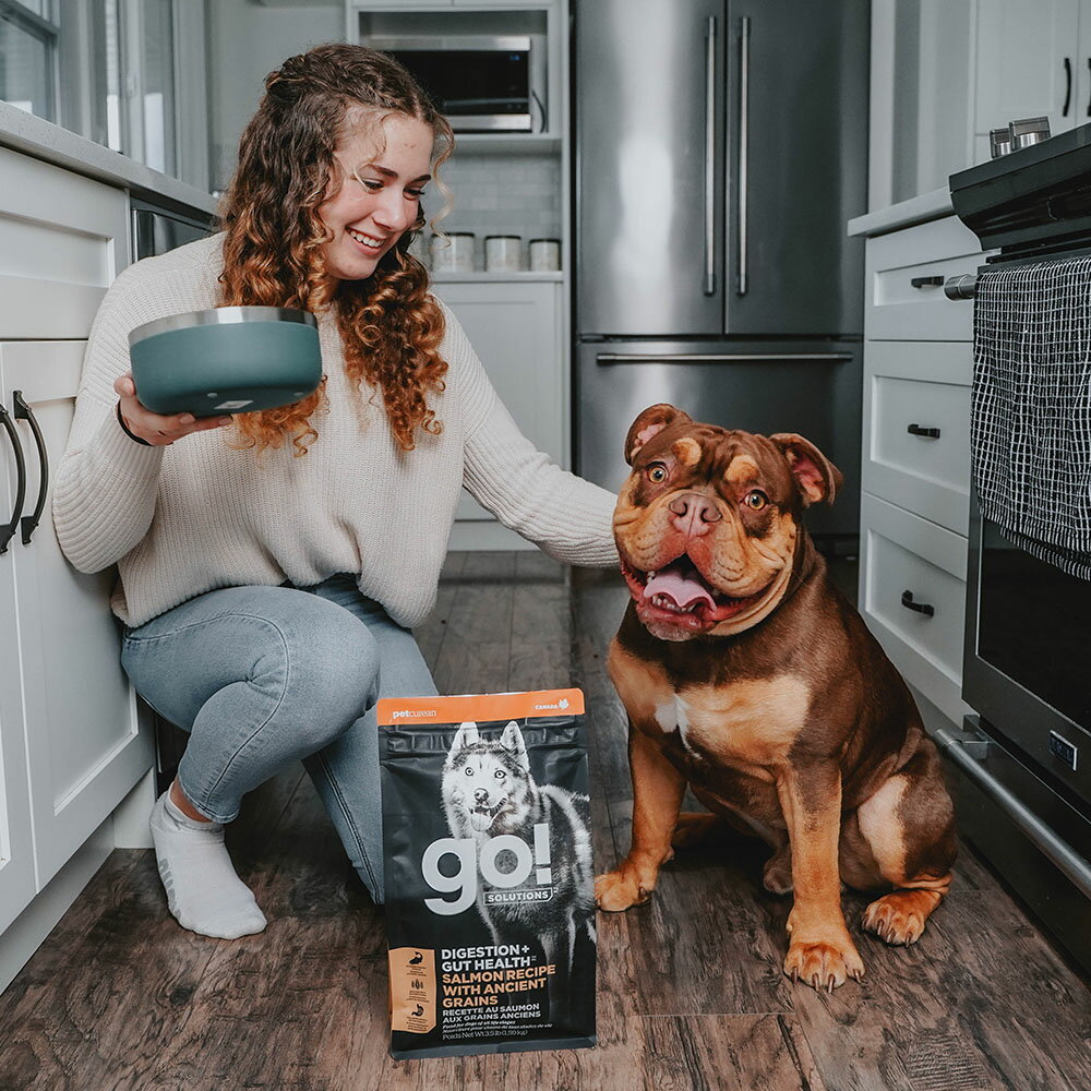 買就送餐包【SofyDOG】go! 腸胃保健系列 鮭魚 全犬配方 22磅 狗飼料 全齡犬 | SofyDOG直營店 | 樂天市場Rakuten