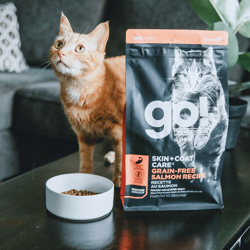 買就送餐包【SofyDOG】go! 皮毛保健系列 野生鮭魚 全貓無穀配方 3磅 貓飼料 全齡貓 | SofyDOG直營店 | 樂天市場Rakuten
