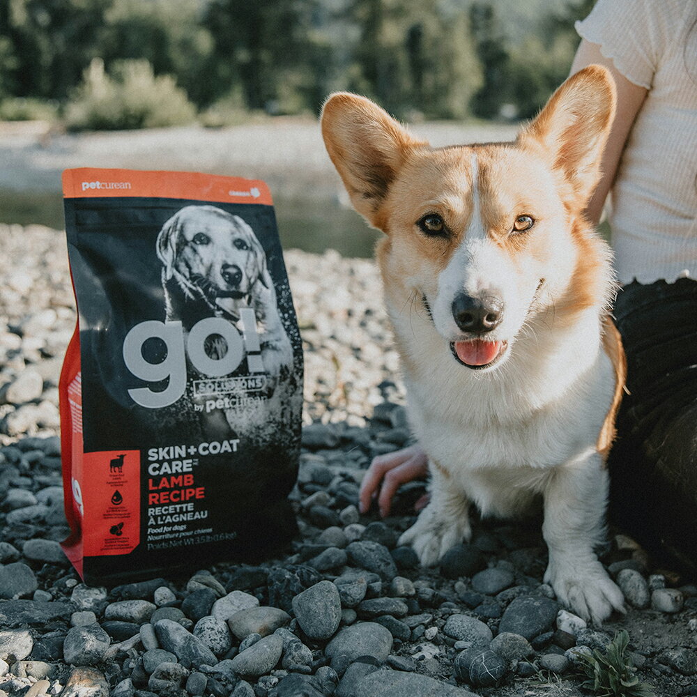 任選4包800【SofyDOG】go! 全方位系列 羊肉蔬果+糙米 300克(以100克X3替代出貨) 全犬配方 狗飼料 犬糧 效期25.11.08 | SofyDOG直營店 | 樂天市場 ...