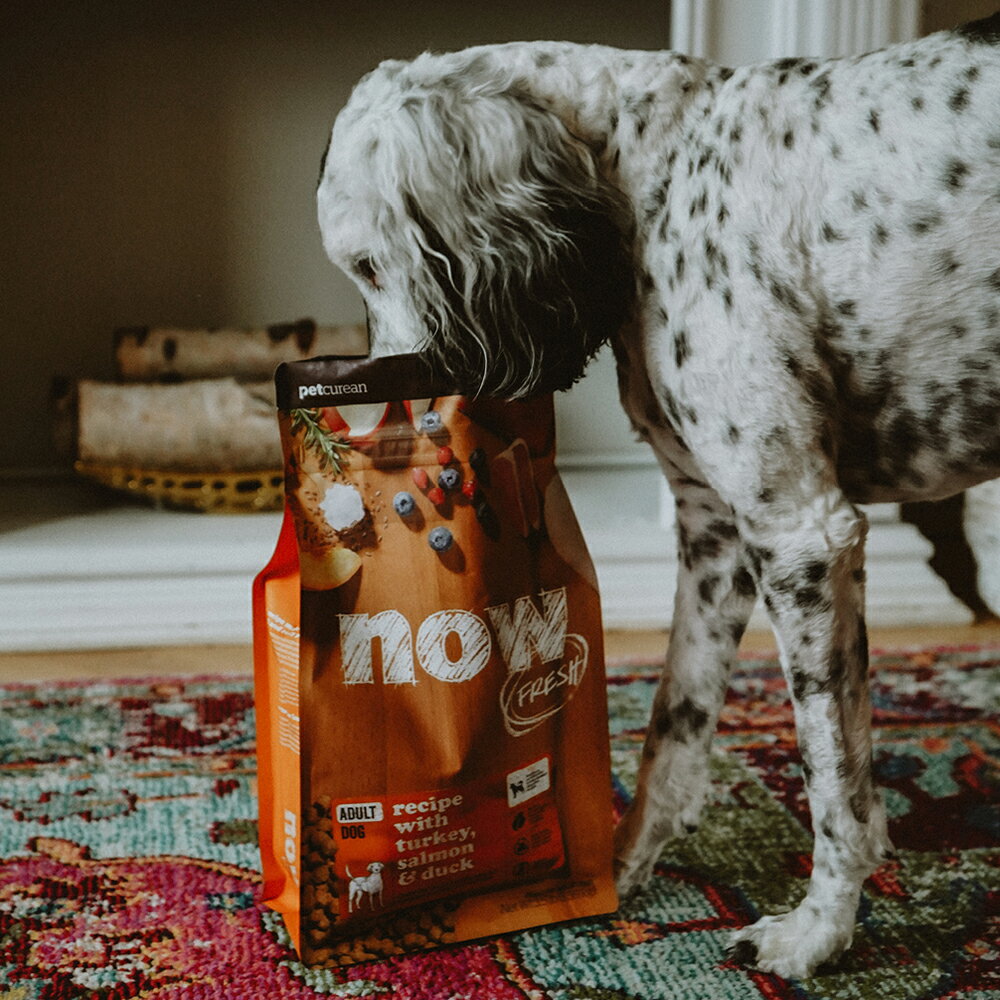 買就送餐包【SofyDOG】now 鮮肉無穀天然糧 成犬配方 12磅 狗飼料 犬糧 | SofyDOG直營店 | 樂天市場Rakuten