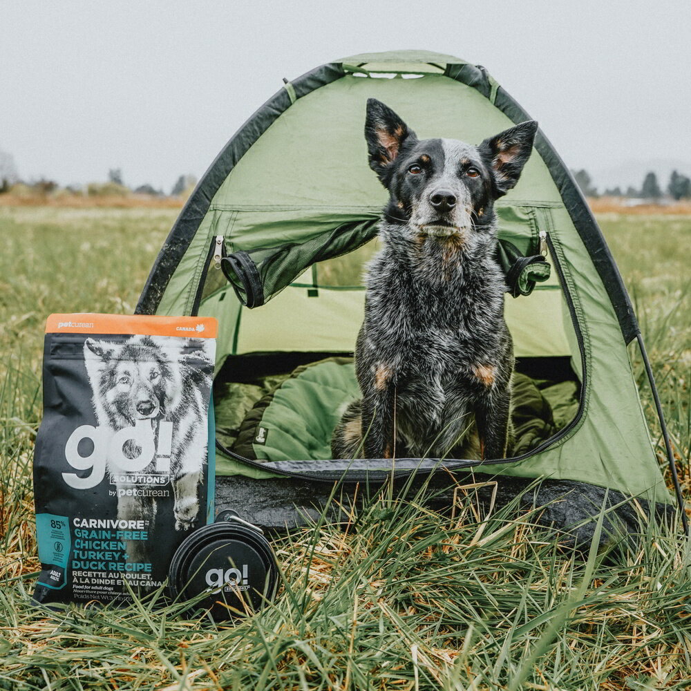 【SofyDOG】go! 高肉量無穀系列 雞肉鮭魚 成犬配方 22磅 狗飼料 犬糧 | SofyDOG直營店 | 樂天市場Rakuten