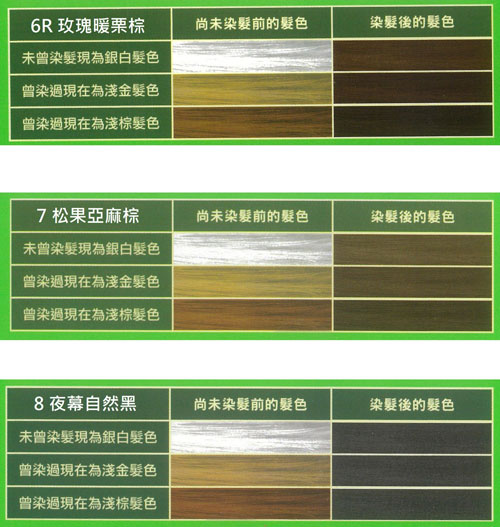 舒妃 SOFEI 植泌泡沫染 8夜幕自然黑 20mlX2 | 來易購直營店 | 樂天市場Rakuten