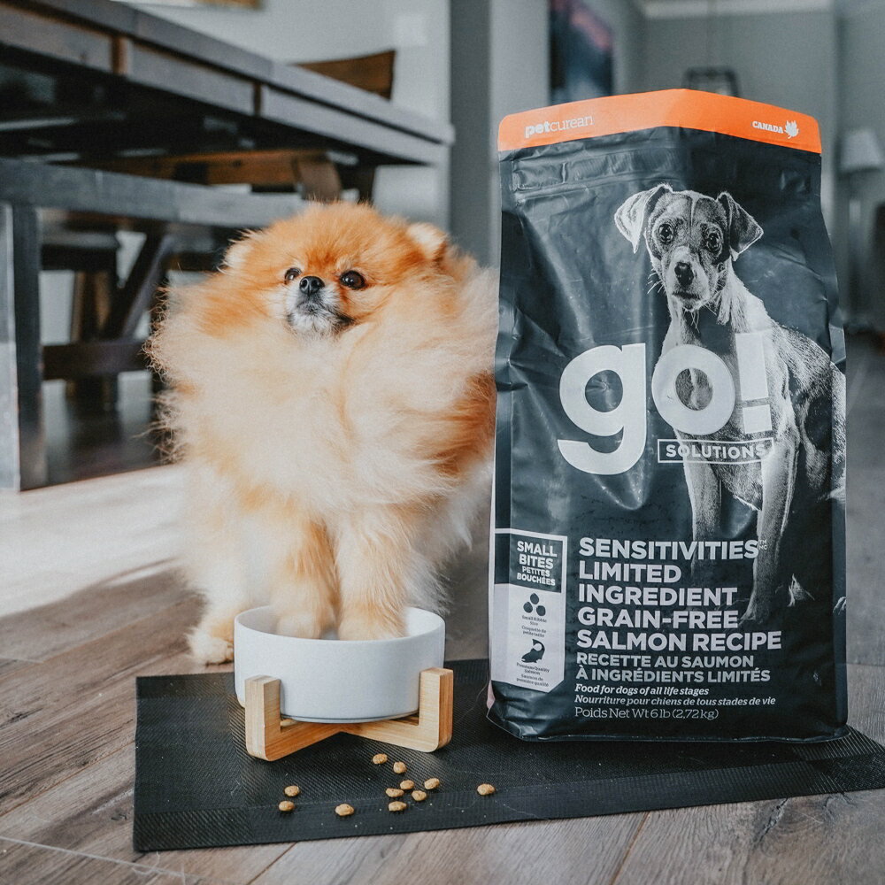 【SofyDOG】go! 低致敏無穀系列 鮭魚(小顆粒) 全犬配方 6磅 狗飼料 犬糧 | SofyDOG直營店 | 樂天市場Rakuten