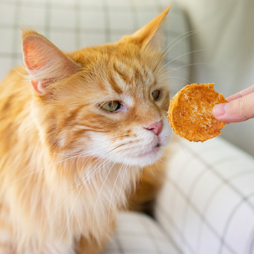 【SofyDOG】Hyperr 超躍 手作頭好壯壯雞肉零食(亞麻籽雞肉餅+鱉蛋雞肉餅+起司雞肉條) 寵物肉乾 肉條 雞肉零食 新舊包裝混和出貨 | SofyDOG直營店 | 樂天市場Rakuten