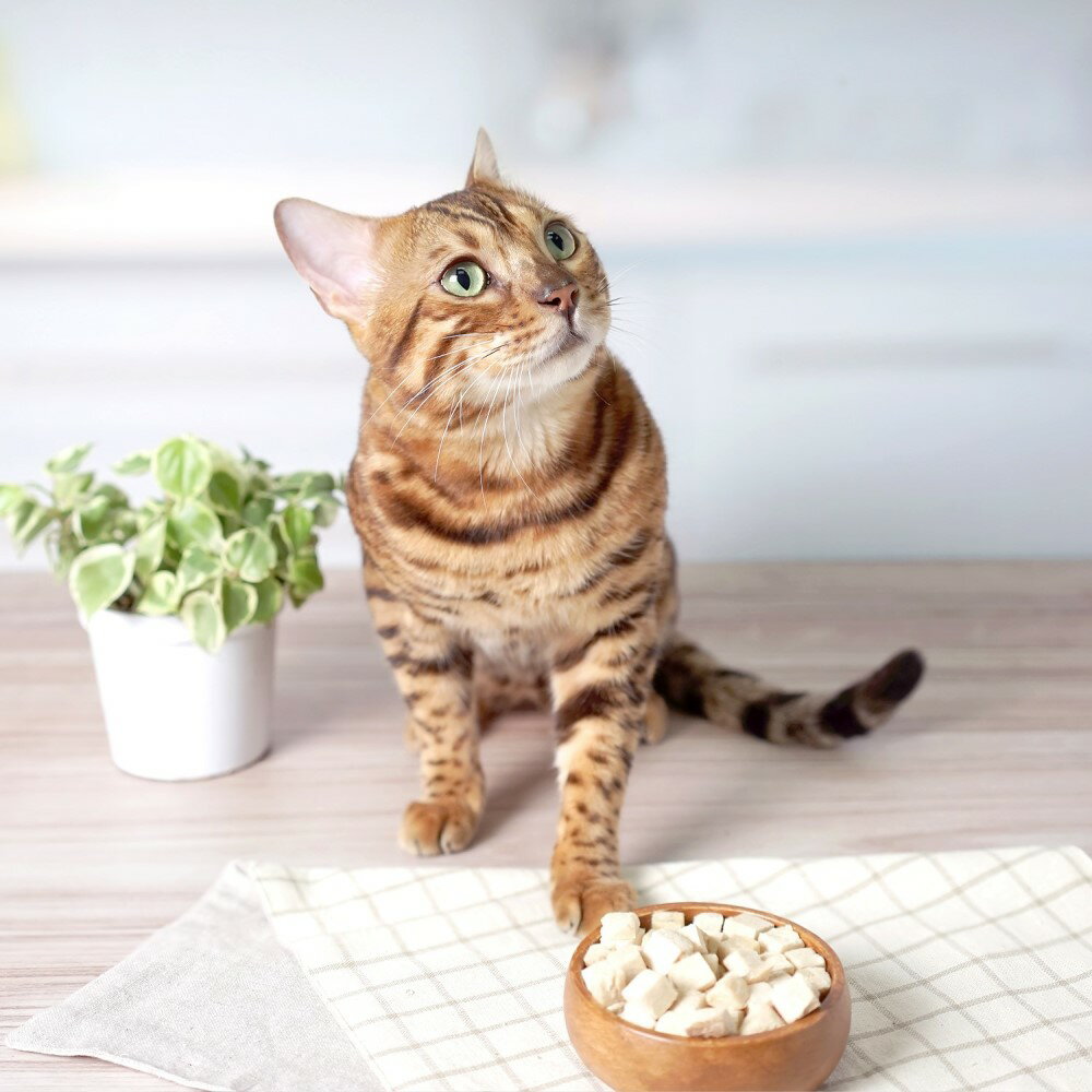 【SofyDOG】Hyperr超躍 凍乾零食 雞肉鮪魚 30g 三件組 貓零食 立方 原肉零食 | SofyDOG直營店 | 樂天市場Rakuten