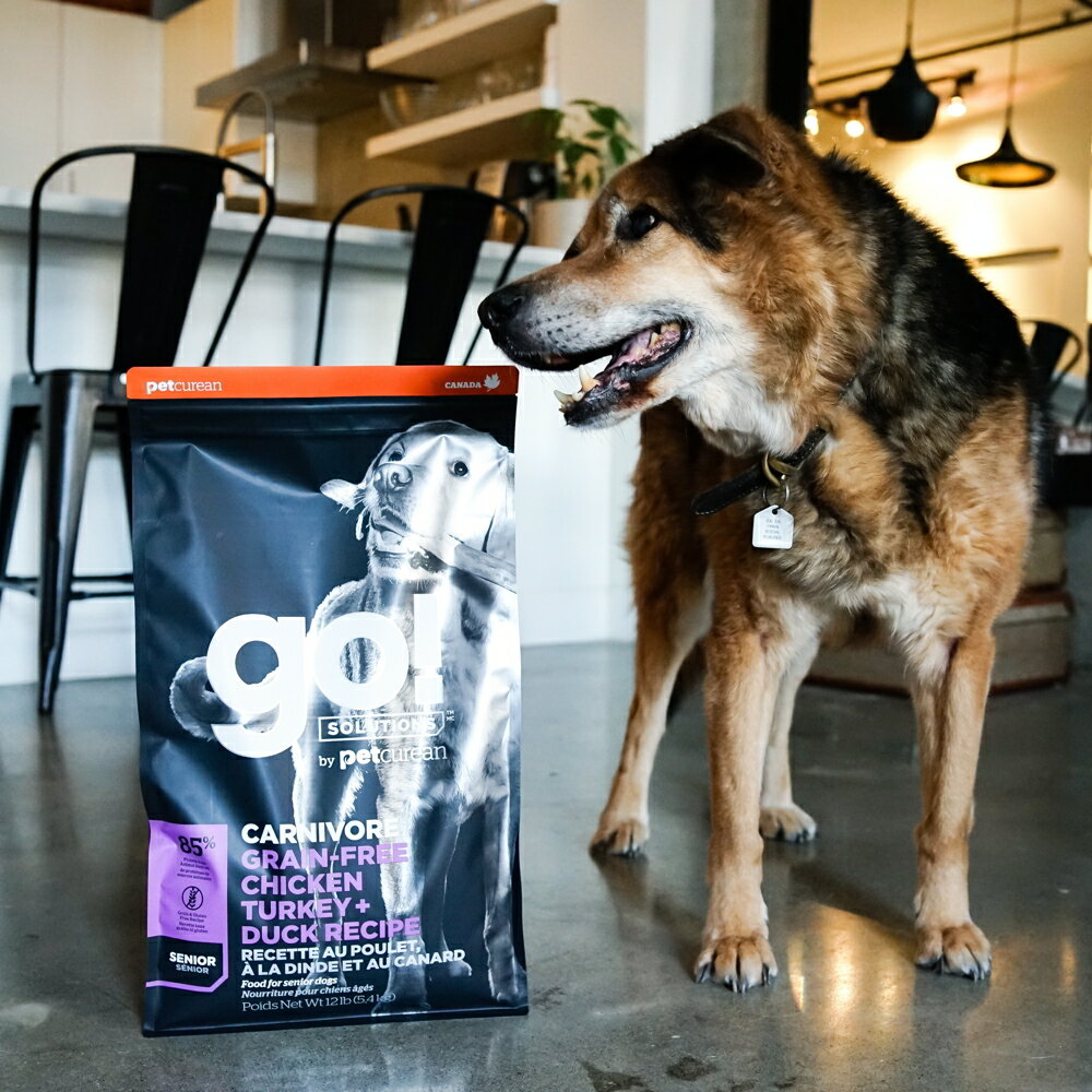 買大送小【SofyDOG】go! 高肉量無穀系列 雞肉鮭魚 老犬/體控犬配方 22磅 狗飼料 犬糧 | SofyDOG直營店 | 樂天市場Rakuten