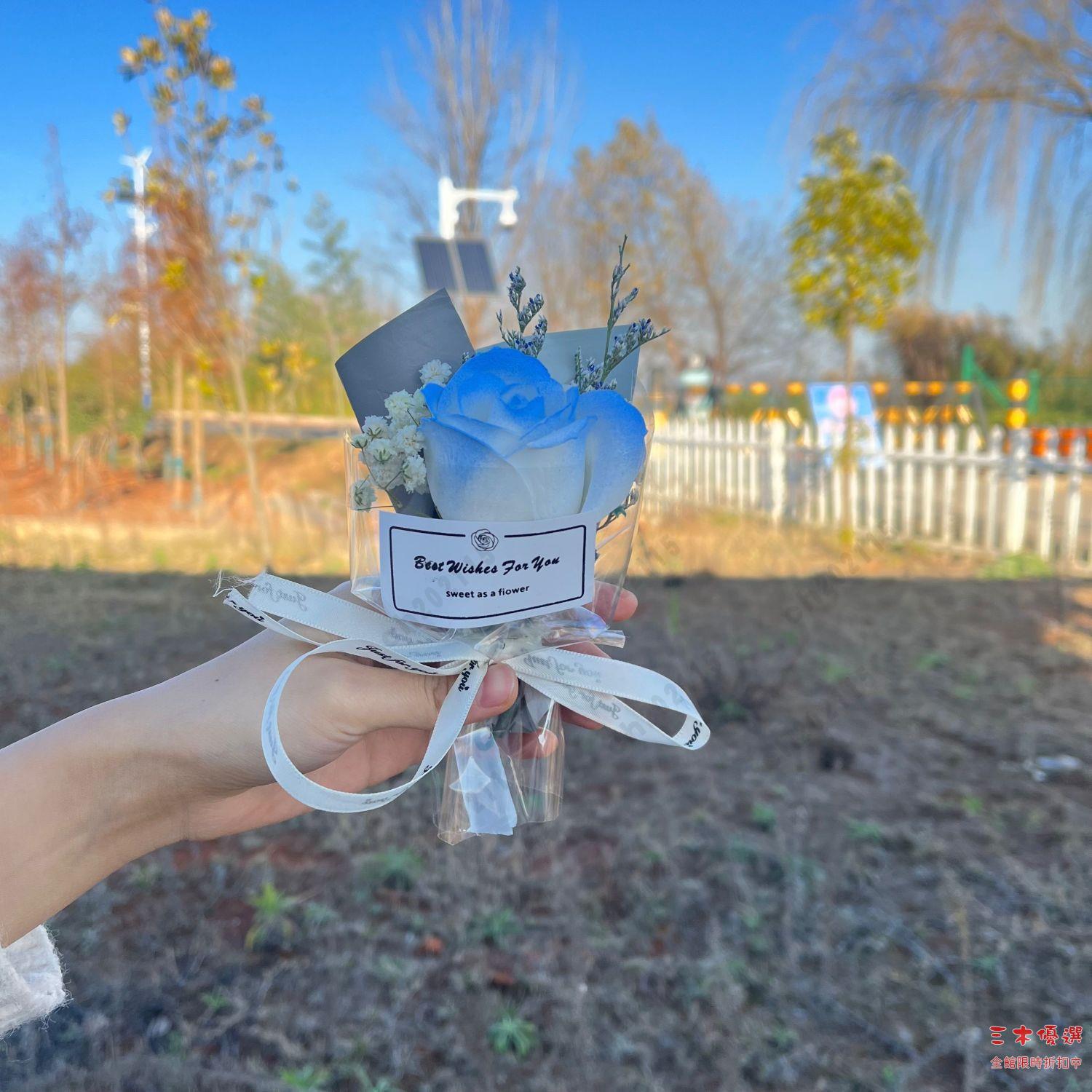 情人節花束 迷你精致小清新花束玫瑰干花mini伴手禮品滿天星永生花車載裝飾七夕交換禮物 | 樂購優品百貨 | 樂天市場Rakuten