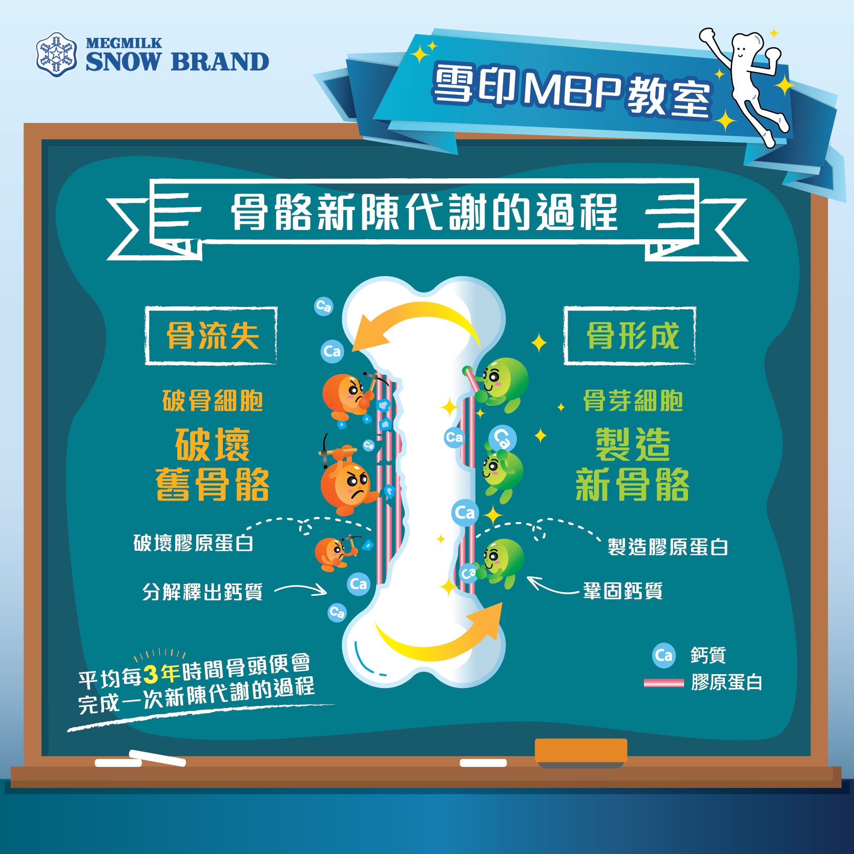 【雪印】MBP飲品50ml (10瓶/盒) 機能性蛋白質 維持骨骼健康 幫助骨骼正常發育 | 尚禾藥局 | 樂天市場Rakuten