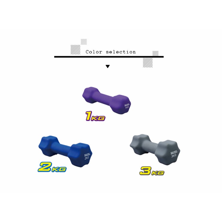 啞鈴 2kg (2個入) 成功 S5212 防滑塑身啞鈴 | 胖嘟嘟生活文化館 | 樂天市場Rakuten