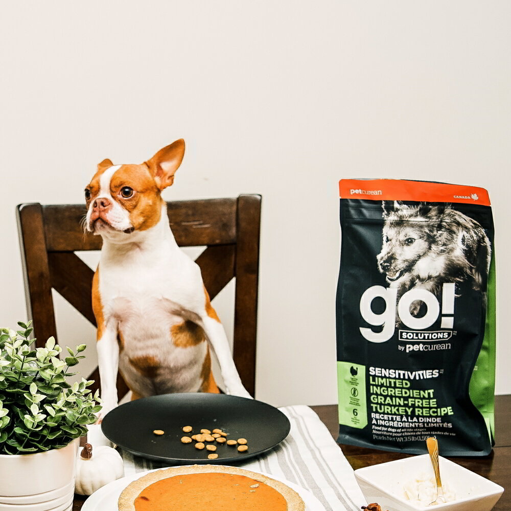買就送餐包【SofyDOG】go! 低致敏無穀系列 火雞肉 全犬配方 6磅 狗飼料 犬糧 | SofyDOG直營店 | 樂天市場Rakuten