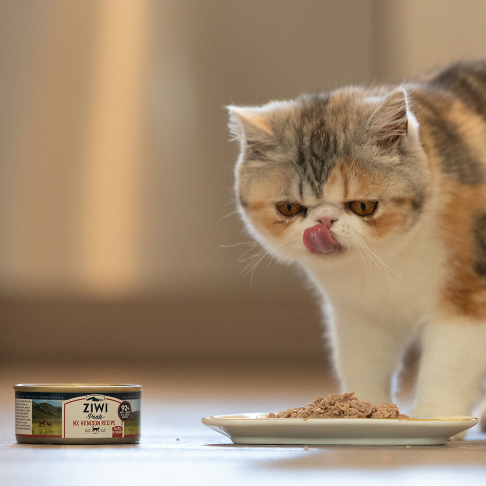 【SofyDOG】ZIWI巔峰 6口味混搭 85克 24件組 鮮肉貓主食罐 貓罐 肉泥 無膠 | SofyDOG直營店 | 樂天市場Rakuten