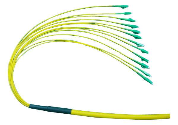 12 core SM multi-core fiber 0.9mm fan-out 12芯束狀0.9尾纖 | 協貿國際日用品生活12館 ...