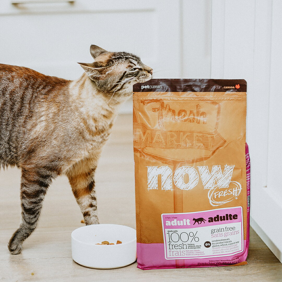 【SofyDOG】now 鮮魚無穀天然糧 成貓配方 16磅 貓飼料 貓糧 皮毛照顧 | SofyDOG直營店 | 樂天市場Rakuten