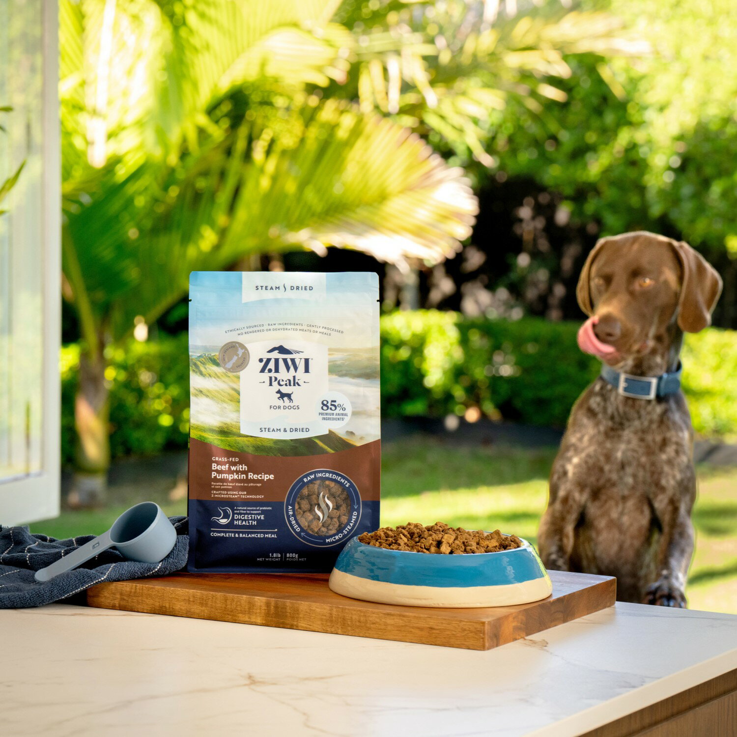 【SofyDOG】ZIWI巔峰 微蒸鮮肉狗糧 牛肉 1.5kg 狗飼料 全齡犬 乾式熟成 高含肉量 低碳水 | SofyDOG直營店 | 樂天市場Rakuten