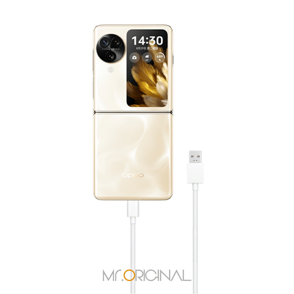 OPPO【原廠密封裝】SuperVOOC超級閃充 10A Type-C 充電線 (DL129) | Mr ORIGINAL直營店 | 樂天市場 ...