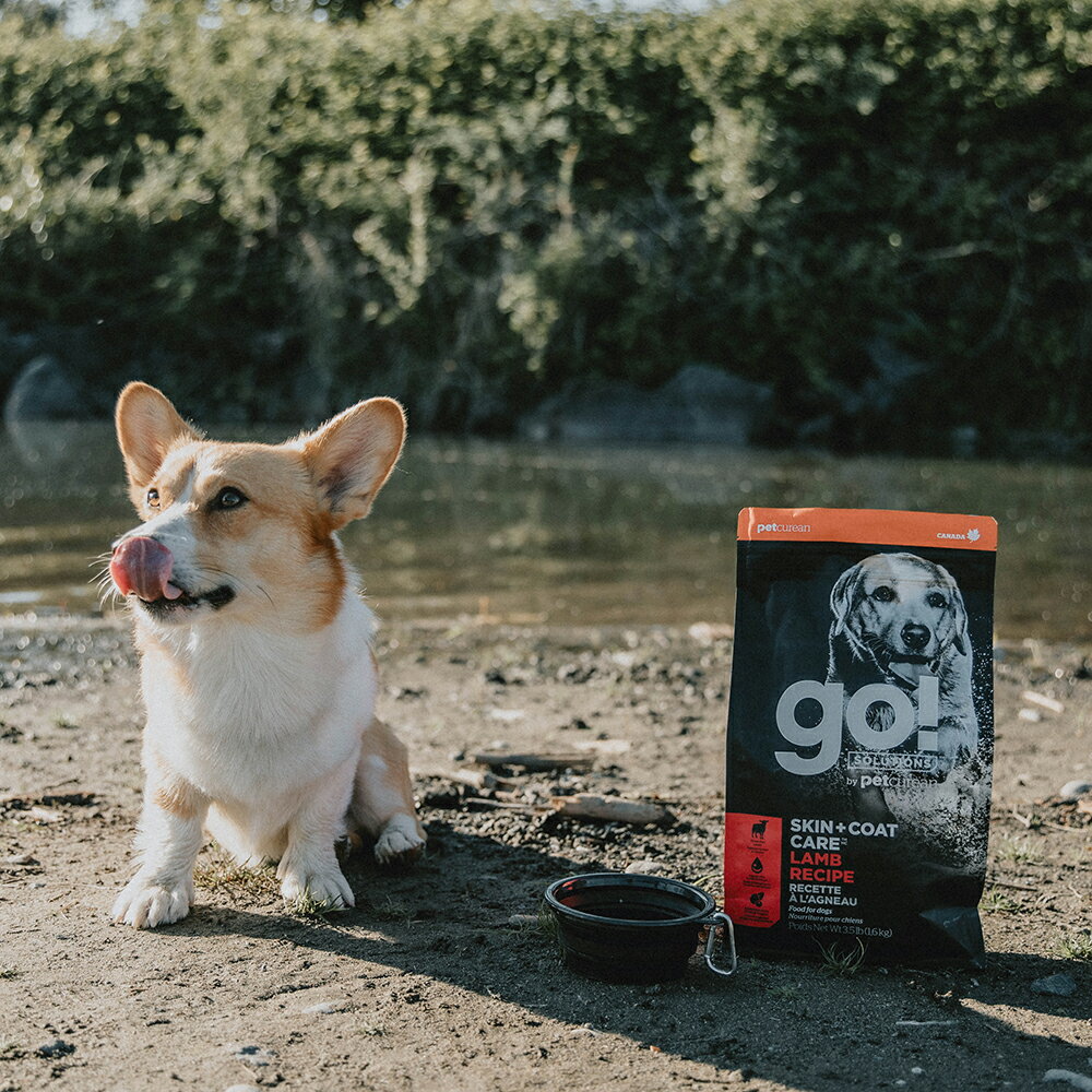 買就送餐包【SofyDOG】go! 全方位系列 羊肉蔬果+糙米 22磅 全犬配方 狗飼料 犬糧 | SofyDOG直營店 | 樂天市場Rakuten