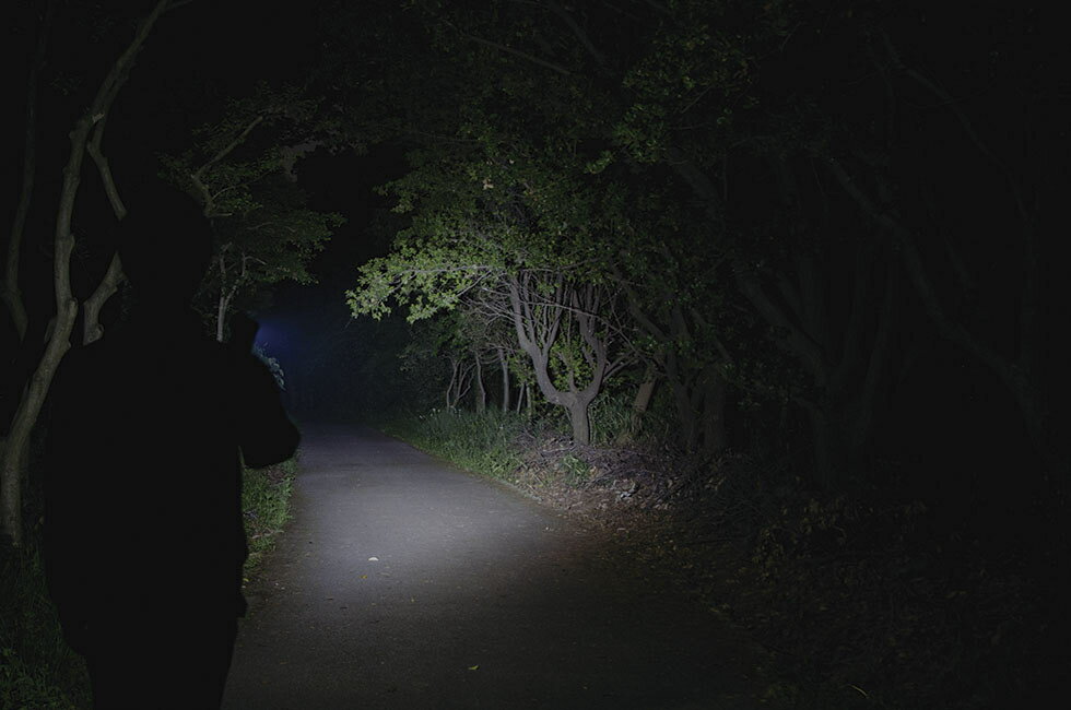 Gentos Rexeed 【專業可調焦手電筒 RX-032D】 手電筒 強光手電筒 充電手電筒 防水手電筒 快速調焦 | OL辦公生活用品直營店 | 樂天市場Rakuten