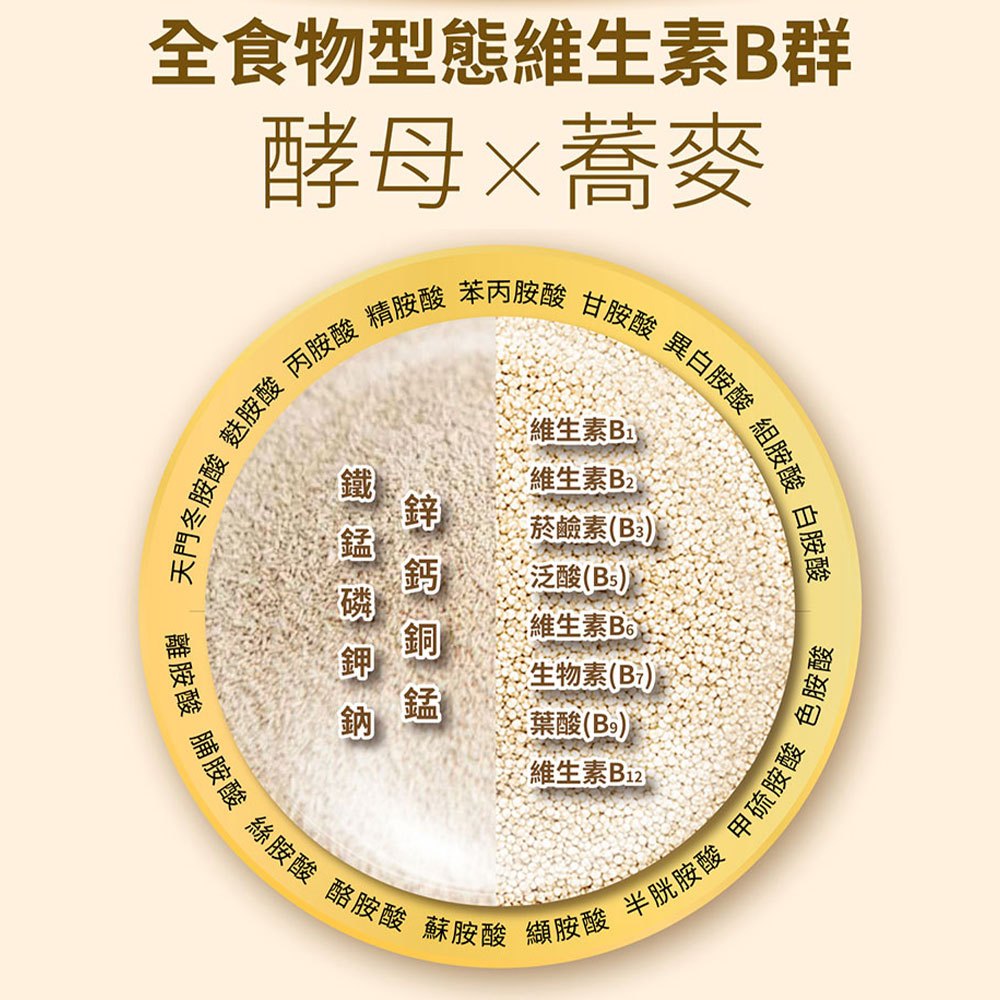 【現貨】維生素 B群 Aicom艾力康 活力BB天然維生素B群(90錠/盒) 保健品 柚柚的店 | 柚柚的店 | 樂天市場Rakuten