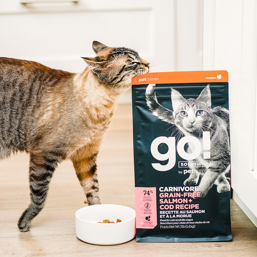 【SofyDOG】go! 高肉量無穀系列 海洋鮭鱈 全貓配方 3磅 貓飼料 全齡貓 | SofyDOG直營店 | 樂天市場Rakuten