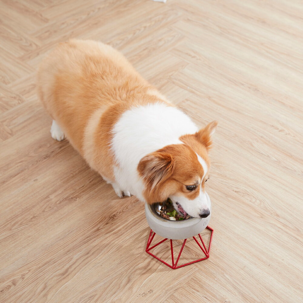 【SofyDOG】Hyperr 超躍 小鮮肉狗狗鮮食餐 草原鮮牛肉 150g 30件組 (狗罐 | 狗餐包 | 主食餐包) | SofyDOG直營店 | 樂天市場Rakuten