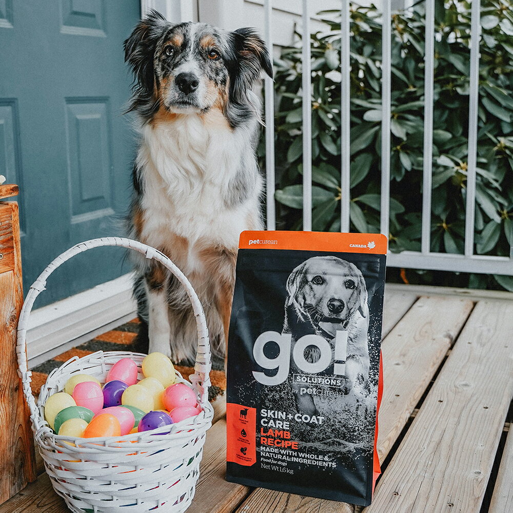 任選2包299【SofyDOG】go! 全方位系列 羊肉蔬果+糙米 300克(以100克X3替代出貨) 全犬配方 狗飼料 犬糧 效期26.04.11【APP下單天天10%點數回饋 ...