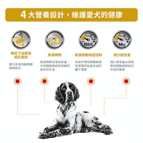 【御寵時代】Royal 皇家處方糧-LP18 犬泌尿道配方 7.5kg 泌尿道 膀胱炎 結石 磷酸胺鎂 泌尿道處方 | 御寵時代YUPETS | 樂天市場Rakuten