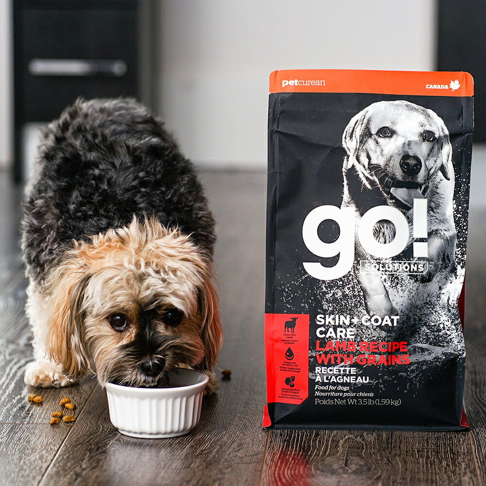 買就送餐包【SofyDOG】go! 全方位系列 羊肉蔬果+糙米 22磅 全犬配方 狗飼料 犬糧 | SofyDOG直營店 | 樂天市場Rakuten