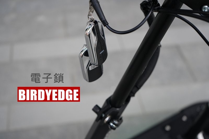 BIRDYEDGE G5電動滑板車 極度黑 限定版 台灣品牌 | FINDSENSE服飾直營店 | 樂天市場Rakuten