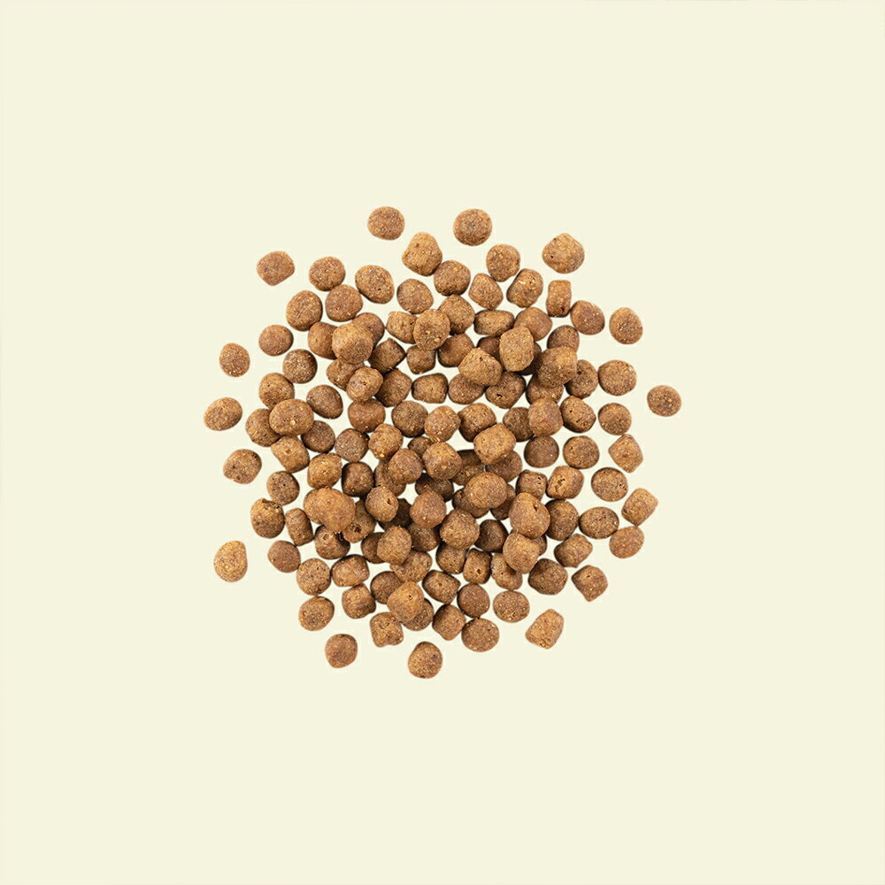 【SofyDOG】now 鮮肉無穀天然糧 成貓配方 8磅 貓飼料 貓糧 | SofyDOG直營店 | 樂天市場Rakuten