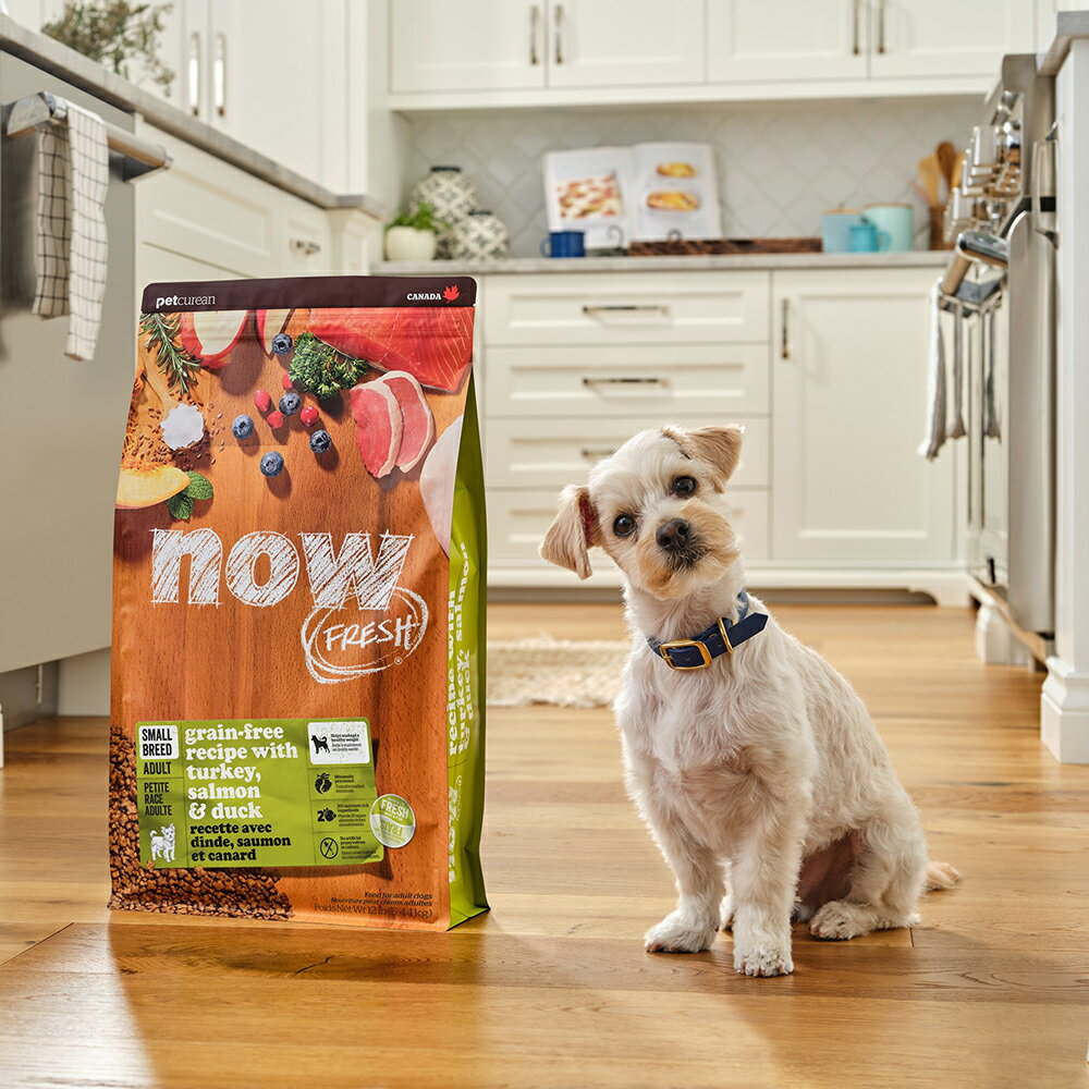 買大送小【SofyDOG】now 鮮肉無穀天然糧 小型成犬配方 22磅 狗飼料 小型犬 犬糧 | SofyDOG直營店 | 樂天市場Rakuten