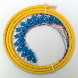 12 core SM multi-core fiber 0.9mm fan-out 12芯束狀0.9尾纖 | 協貿國際日用品生活12館 ...