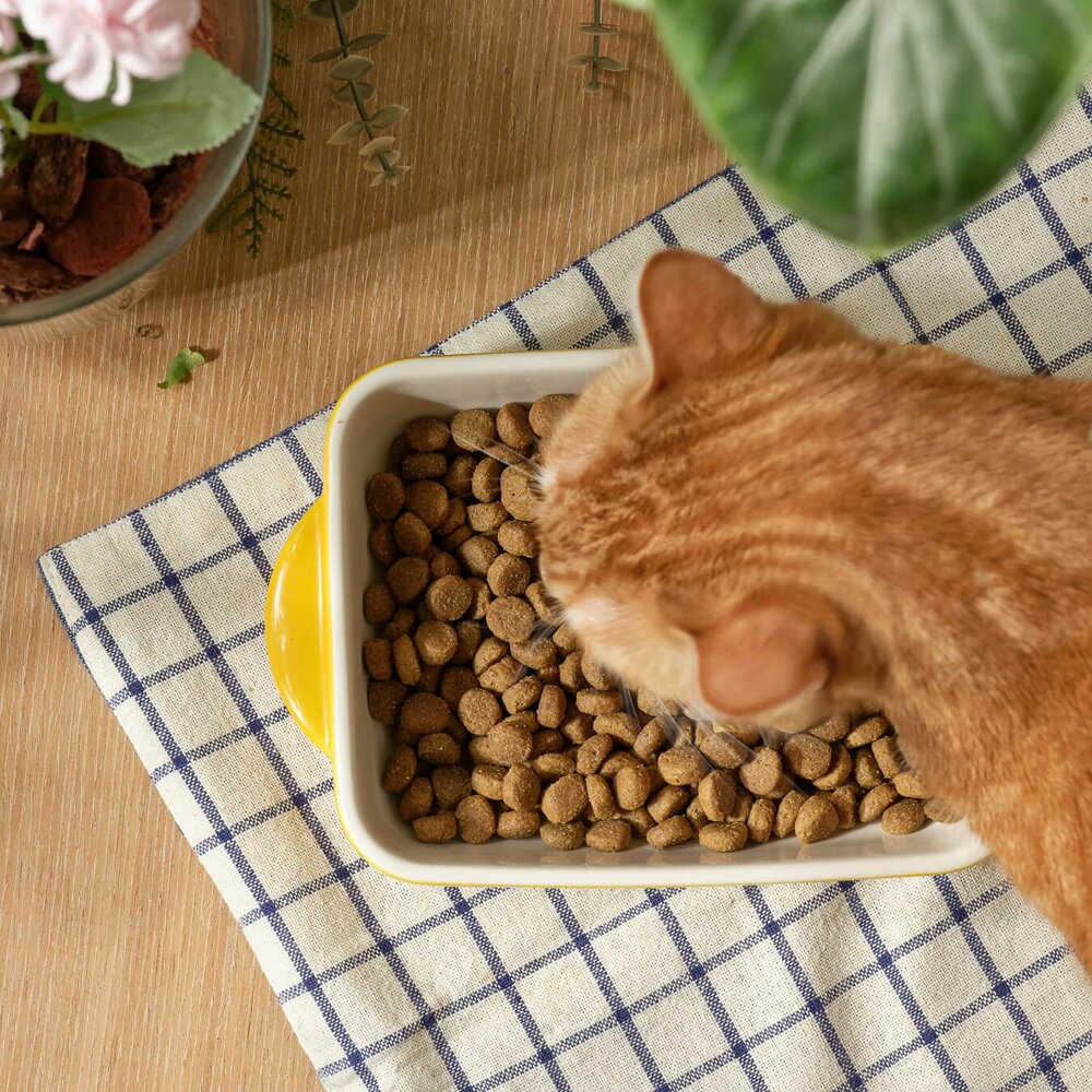 【SofyDOG】Hyperr超躍 低敏無穀貓糧 田園雞肉 300克 貓飼料 貓糧 | SofyDOG直營店 | 樂天市場Rakuten