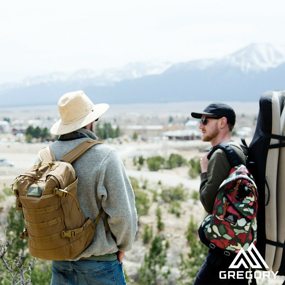 Gregory 22L ASSAULT PACK 後背包 三日迷彩 GG109782-6632 現貨 公司貨 | 新動力運動流行館 | 樂天 ...