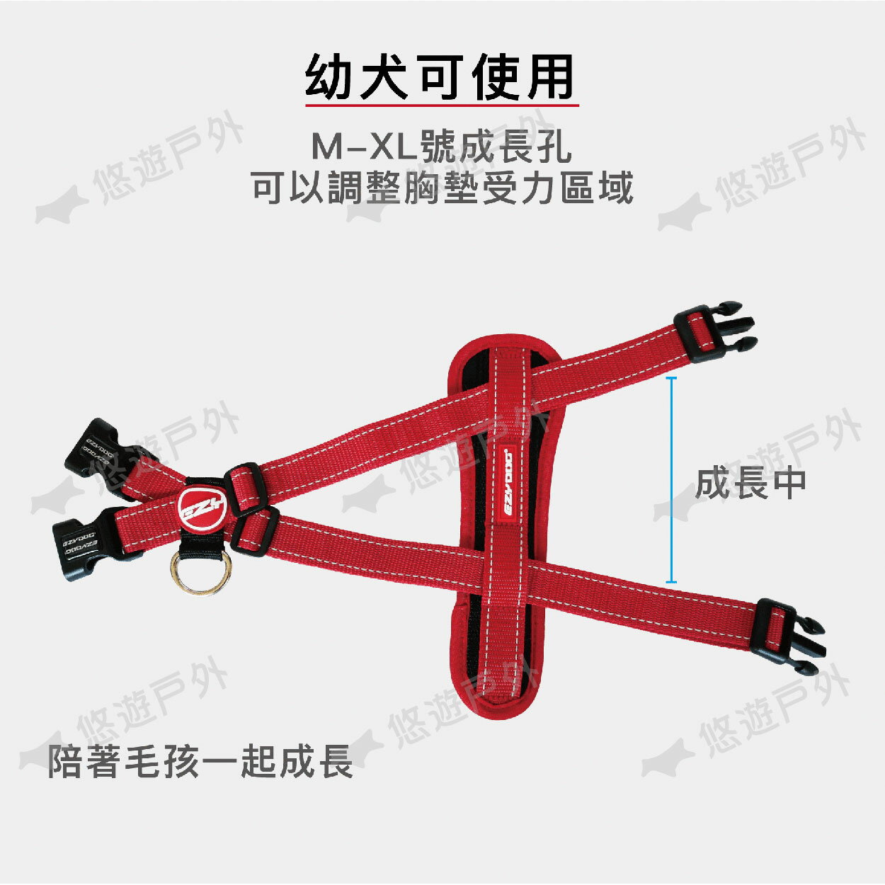 【EZYDOG】狗體工學胸背帶 XXS/XS/S/M/L號 防暴衝背帶 幼犬 貓咪 防掙脫 夜間反光 露營 悠遊戶外 | 悠遊戶外露營生活館直營店 | 樂天市場Rakuten