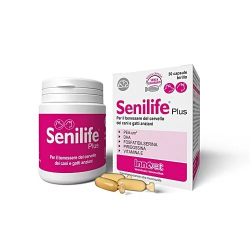 Senilife Plus 腦力活 老犬腦部營養補充劑 失智 老年癡呆 犬貓腦部營養品 同腦活素 | 御寵時代YUPETS | 樂天市場Rakuten