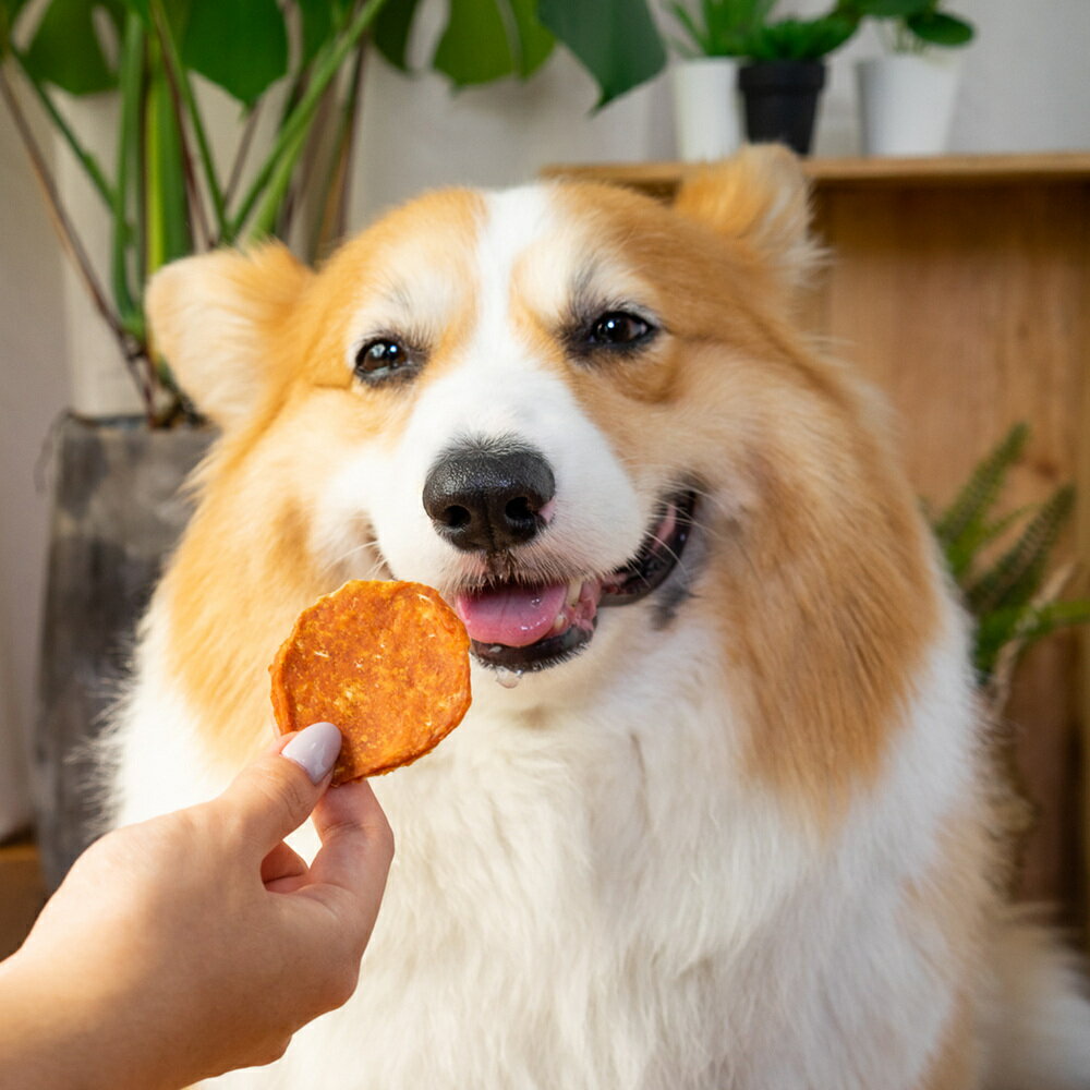 【SofyDOG】Hyperr 超躍 手作鈣多多零食(南瓜雞肉餅+鱉蛋雞肉餅+起司雞肉條) 寵物肉乾 肉條 雞肉零食 | SofyDOG直營店 | 樂天市場Rakuten