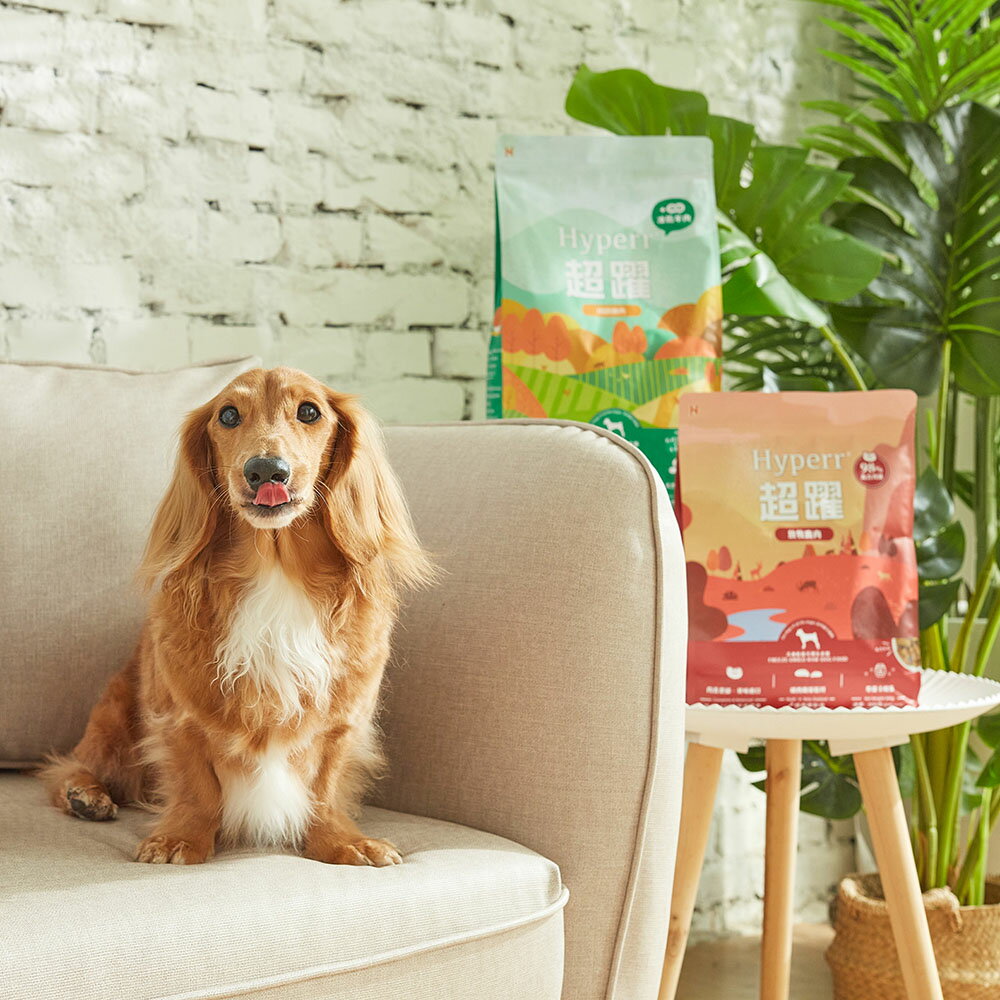 買大送小 | 不吃包退【SofyDOG】Hyperr超躍 狗狗凍乾生食餐 鹿肉 500克 無穀 狗糧 | SofyDOG直營店 | 樂天市場Rakuten