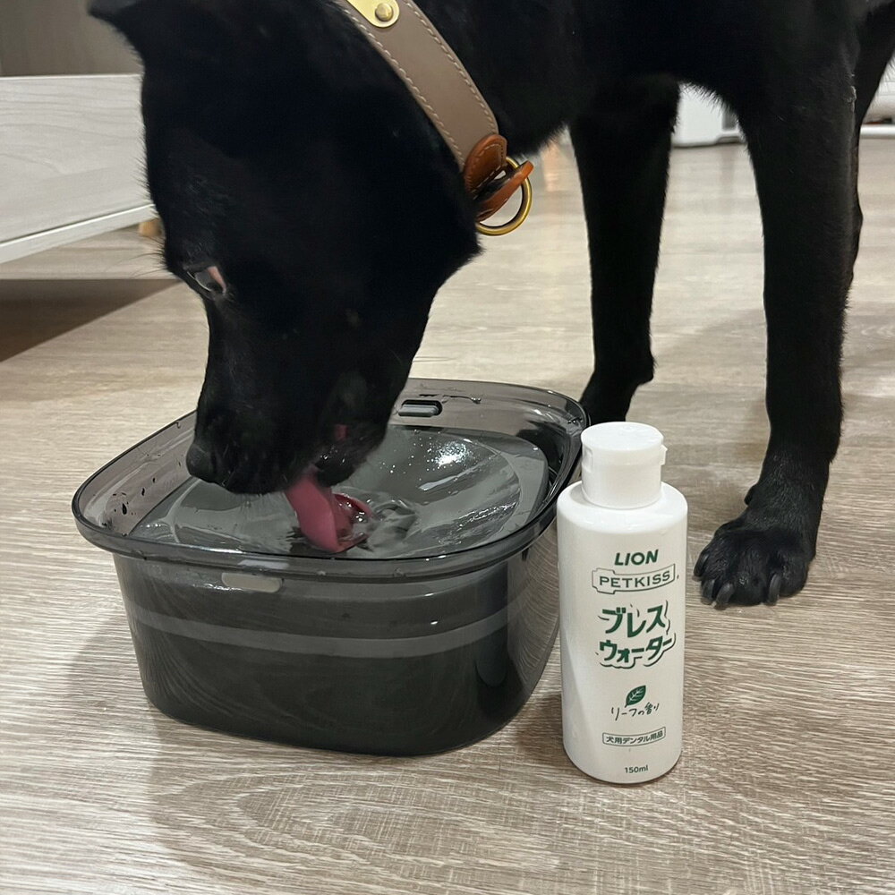 日本LION PETKISS寵物系列 犬用漱口水150ml (蘋果味/薄荷味) | 達益購直營店 | 樂天市場Rakuten