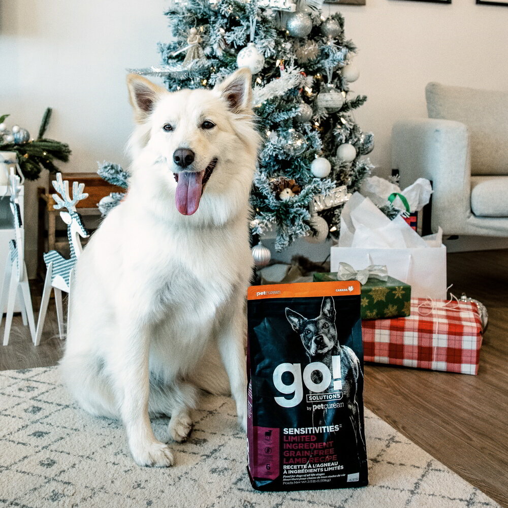 買就送餐包【SofyDOG】go! 低致敏羊肉無穀全犬配方 12磅(6磅2件優惠組) 狗飼料 犬糧 | SofyDOG直營店 | 樂天市場Rakuten