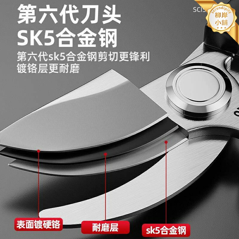 【省力粗枝剪】修枝剪 園藝剪刀 果樹剪 園林剪 修花剪 樹枝剪 SK5高碳鋼 德國精工 省力槓桿設計 園林果農專用 | 柳岸小舖 | 樂天市場 ...